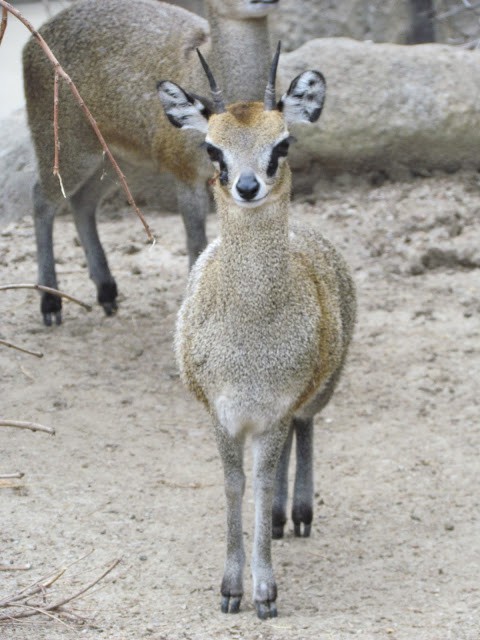 Talk To The Animals at Omaha's Henry Doorly Zoo - Our Changing Lives