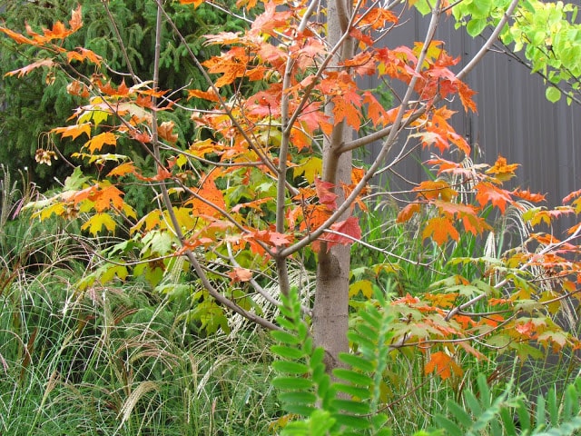 Talk To The Animals at Omaha's Henry Doorly Zoo - Our Changing Lives