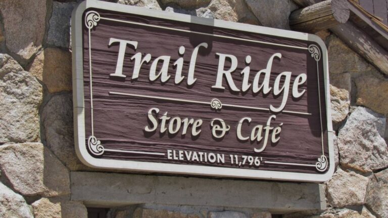 10 Miles Above the Trees on Trail Ridge Road - Our Changing Lives