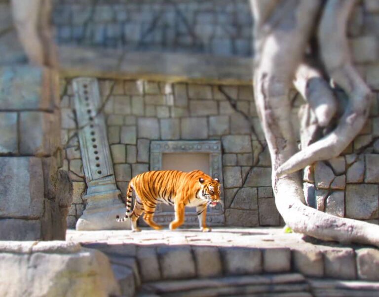 Here's Looking At Zoo! The Tulsa Zoo - Our Changing Lives