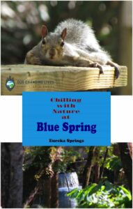 Hidden History At Blue Spring Heritage Center - Our Changing Lives