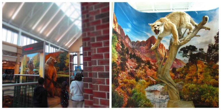 How To Get The Most Out Of A Visit To Scheels - Our Changing Lives