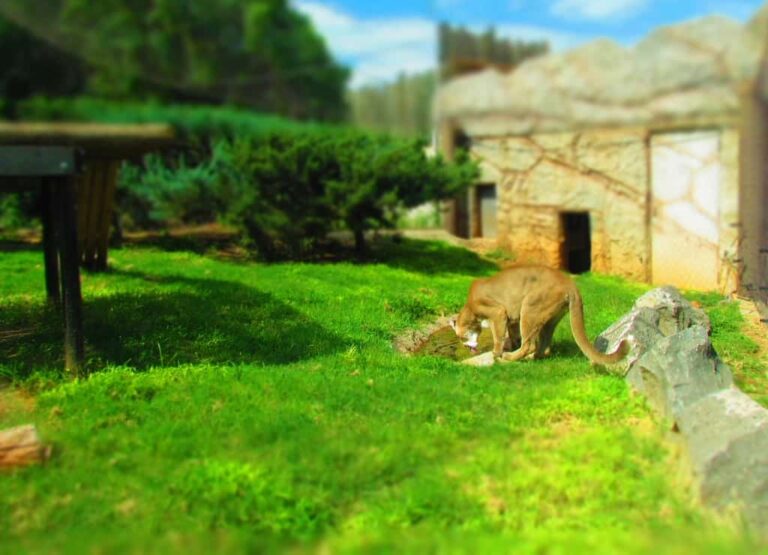 Hands On Experience At Oklahoma City Zoo - Our Changing Lives