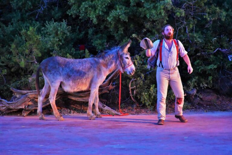 Texas-sized Fun at Texas Outdoor Musical - Our Changing Lives