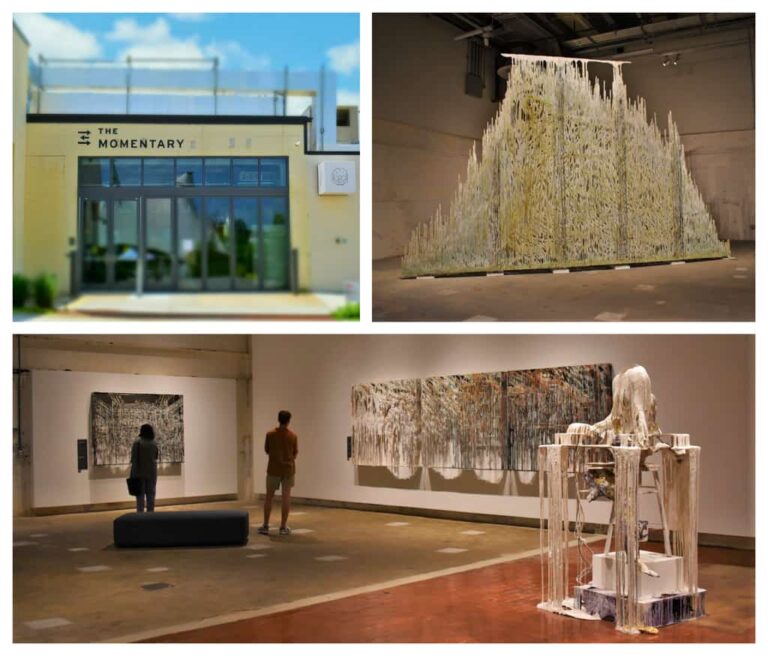 Cultural Chow Down - 8th Street Market - Our Changing Lives