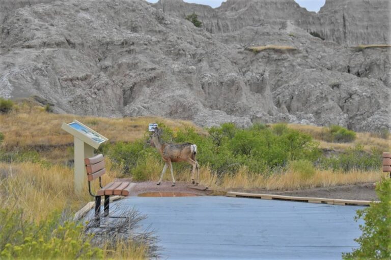 Alien Landscape - Badlands National Park - Our Changing Lives