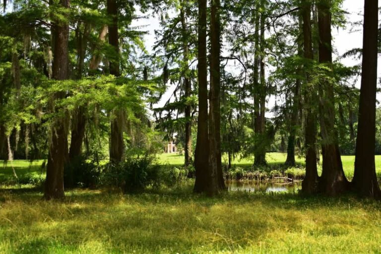 Visiting Melrose Plantation - Natchez National Historic Park - Our ...